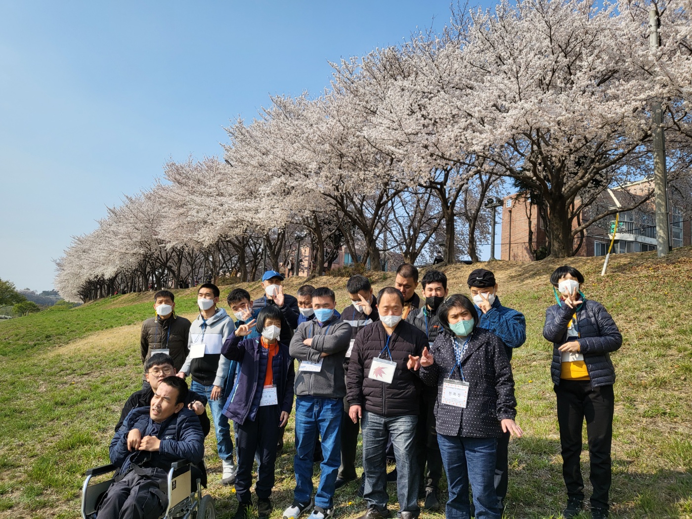 사진갤러리 - 봄꽃 희날리는 벚꽃놀이~